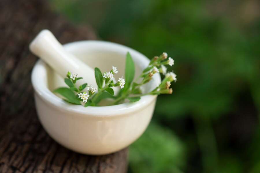 Stevia - o alternativă naturală și sănătoasă a zahărului